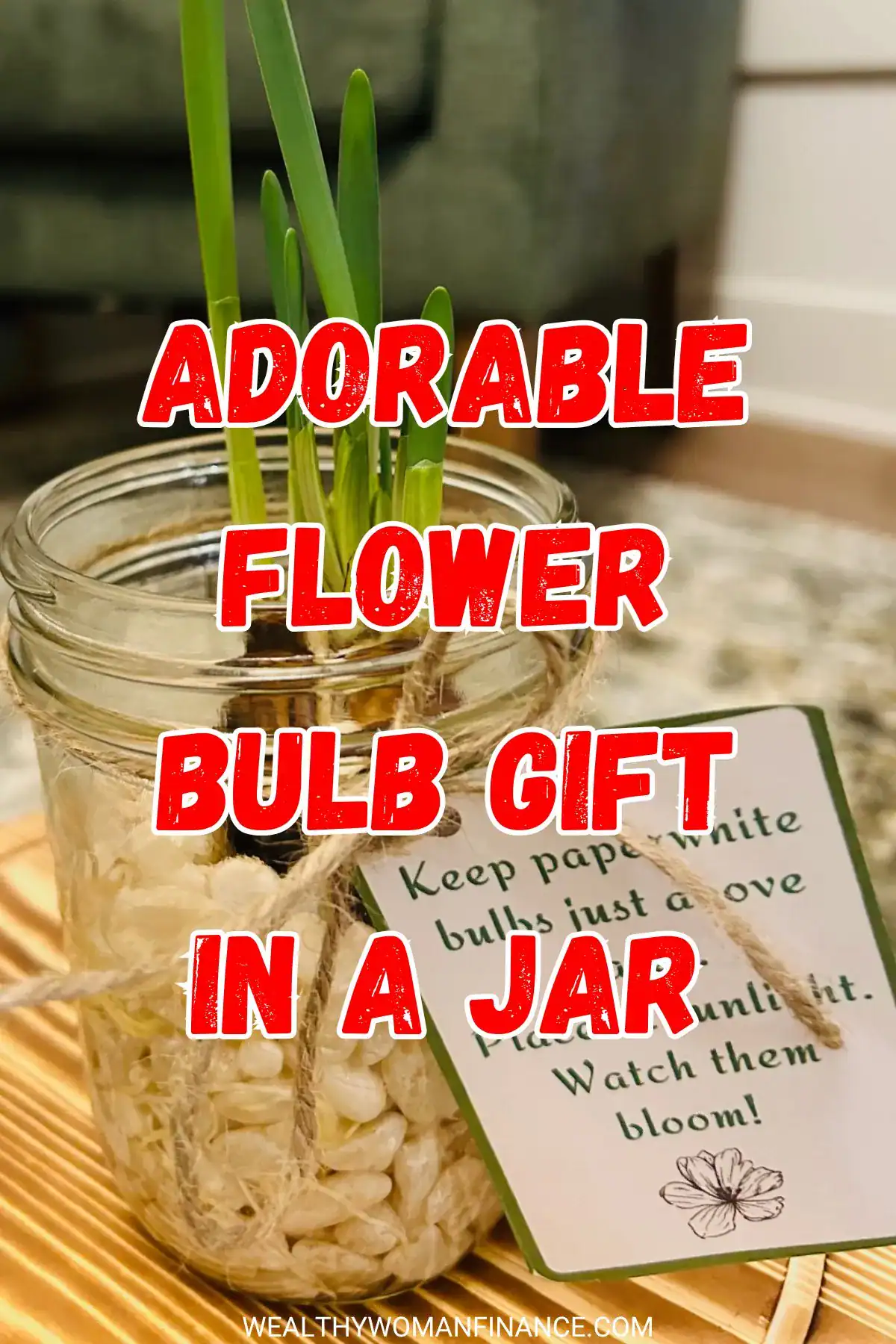 DIY Paperwhite Flower Bulb Gift Ideas (Planting Holiday Cheer!)